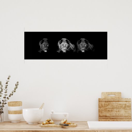 Wild Black Jaguar Cat Eyes Poster | Zazzle