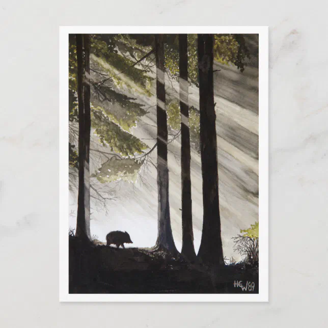 Wild Boar Postcard | Zazzle