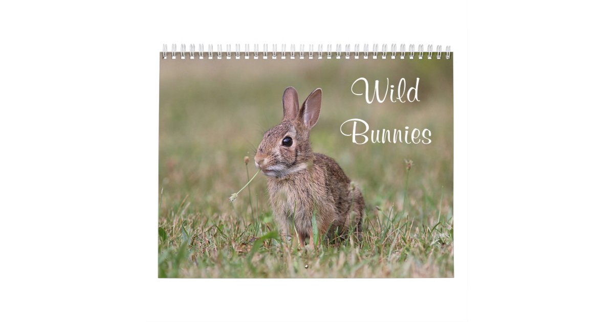 Wild Bunnies Calendar | Zazzle
