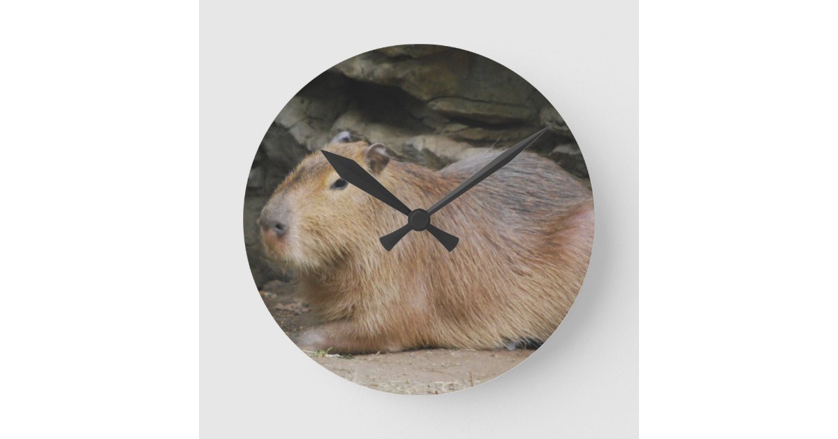 Wild Capybara Clock | Zazzle