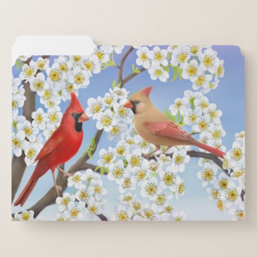 Wild Cardinal Birds in Apple Tree File Folders | Zazzle