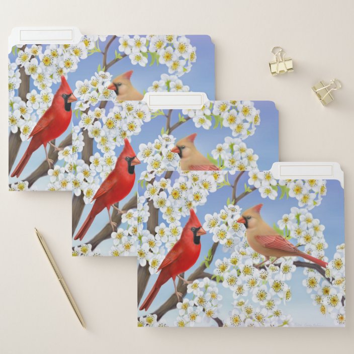 Wild Cardinal Birds in Apple Tree File Folders | Zazzle