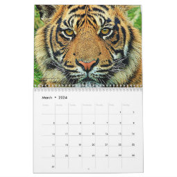 Wild Cats Animal Wildlife Calendar | Zazzle