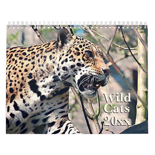 Wild Cats Animal Wildlife Calendar | Zazzle