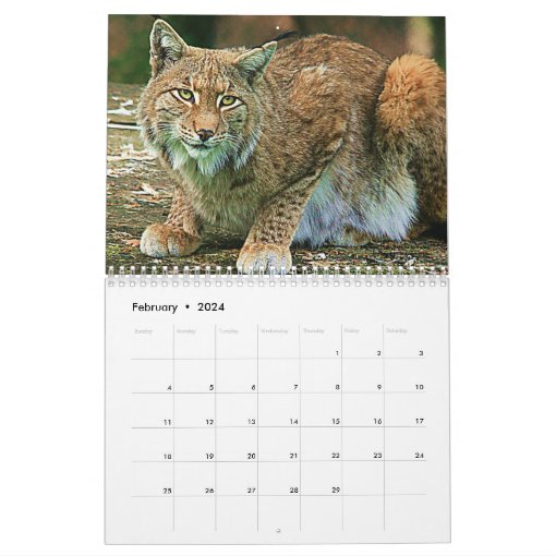 Wild Cats Animal Wildlife Calendar | Zazzle
