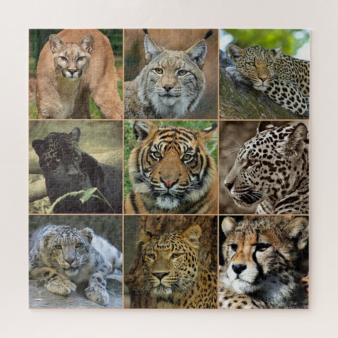 Wild Cats Photo Puzzle | Zazzle