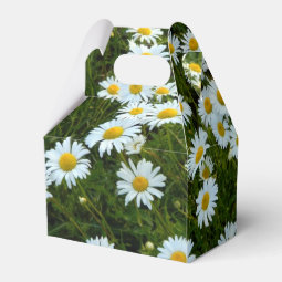 Wild Daisy Party Favor Box | Zazzle