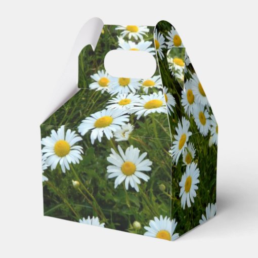 Wild Daisy Party Favor Box | Zazzle