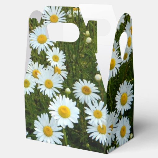 Wild Daisy Party Favor Box | Zazzle