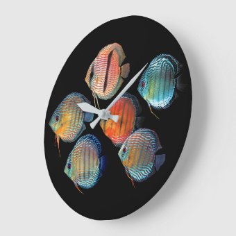 Wild Discus fish Large Clock | Zazzle