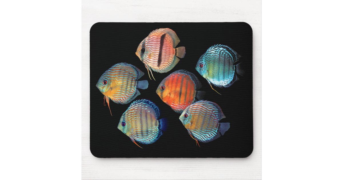 Wild Discus Mouse Pad | Zazzle