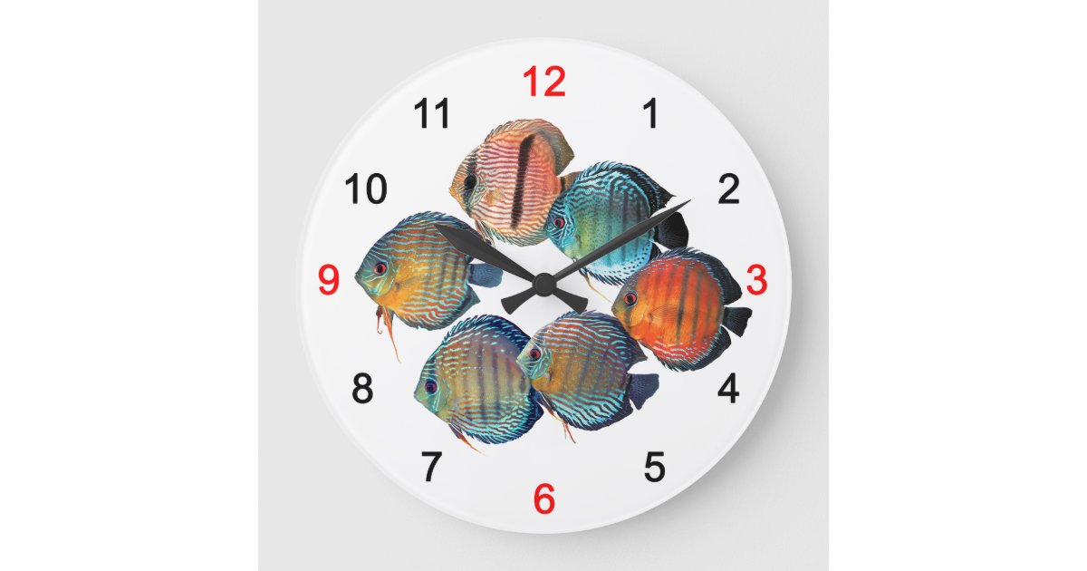 Wild Discusfish Large Clock | Zazzle