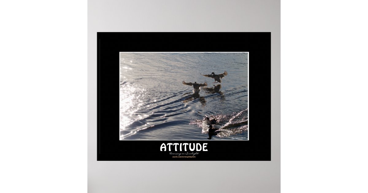 Wild Duck ATTITUDE Motivational Nature Photo Print | Zazzle