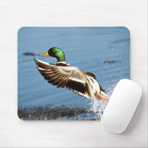 Wild Duck – Mouse Pad | Zazzle