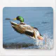 Wild Duck – Mouse Pad | Zazzle