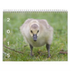 Canada Geese Calendar | Zazzle.com