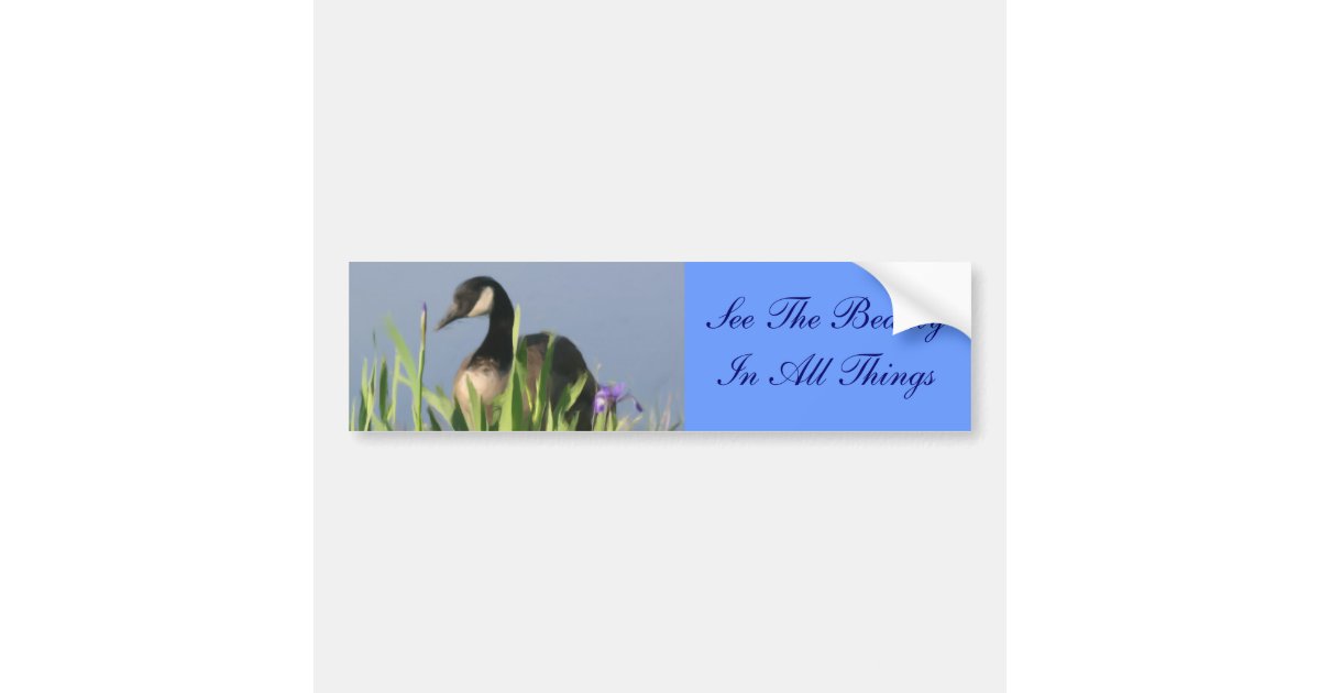 Wild Goose Beauty Inspirational Bumper Sticker | Zazzle