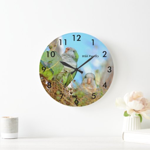Wild green Quaker Parrots Wall Clock | Zazzle