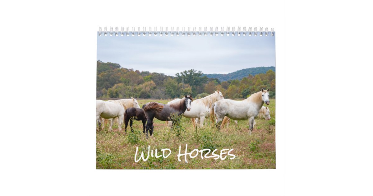 Wild Horse Calendar | Zazzle