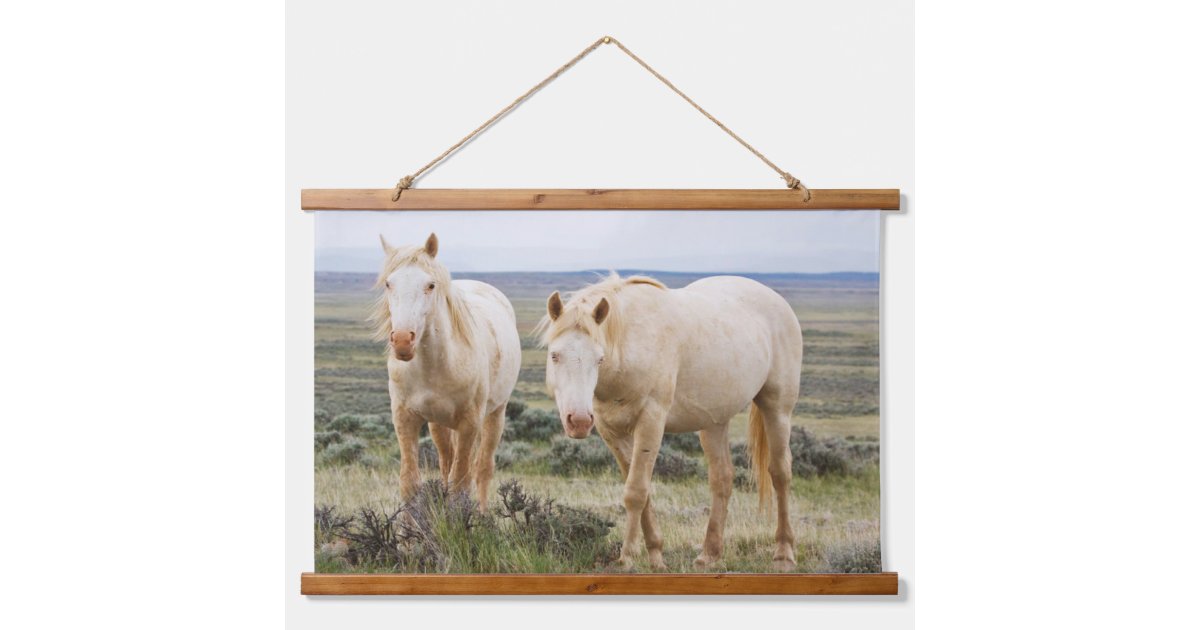 Wild Horse Roaming on the Priaire of Cody Hanging Tapestry | Zazzle