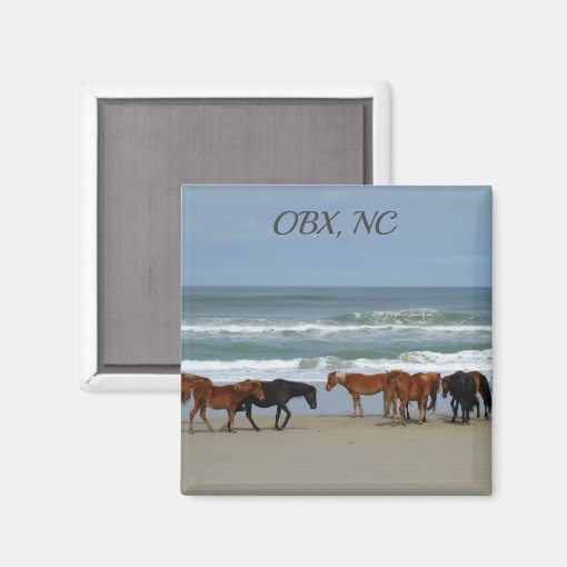 Wild Horses OBX NC Magnet | Zazzle