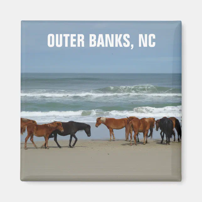 Wild Horses Outer Banks OBX North Carolina Magnet | Zazzle