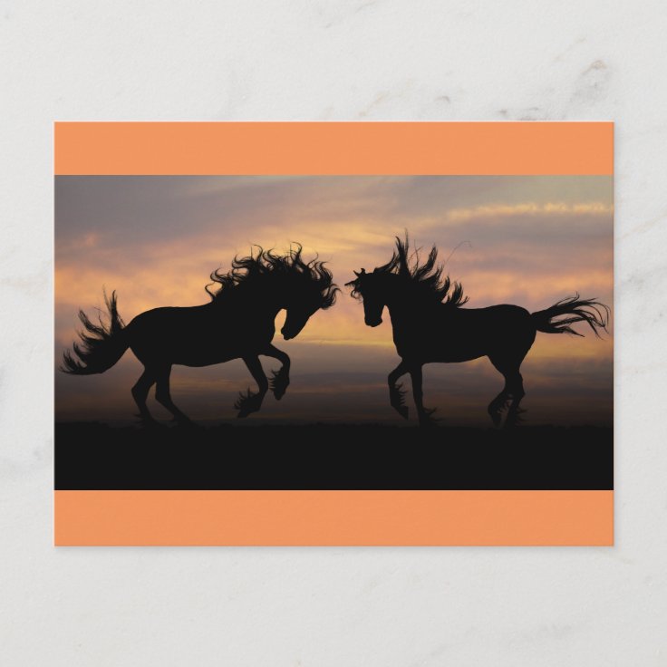 Wild Horses Silhouette Postcard | Zazzle