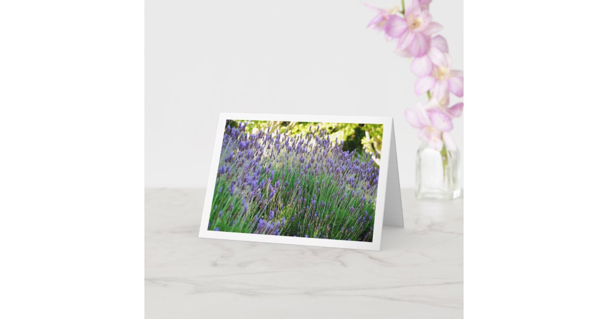 Wild Lavender Portrait Card | Zazzle