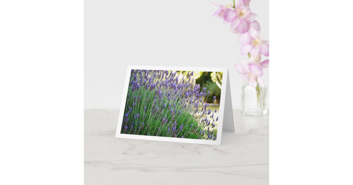 Wild Lavender Portrait Card | Zazzle