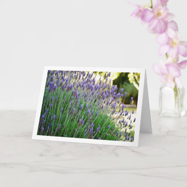 Wild Lavender Portrait Card | Zazzle