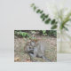 Wild Monkeys of Singapore Postcard | Zazzle