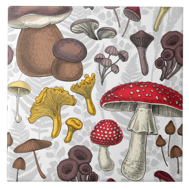 Wild mushrooms ceramic tile | Zazzle