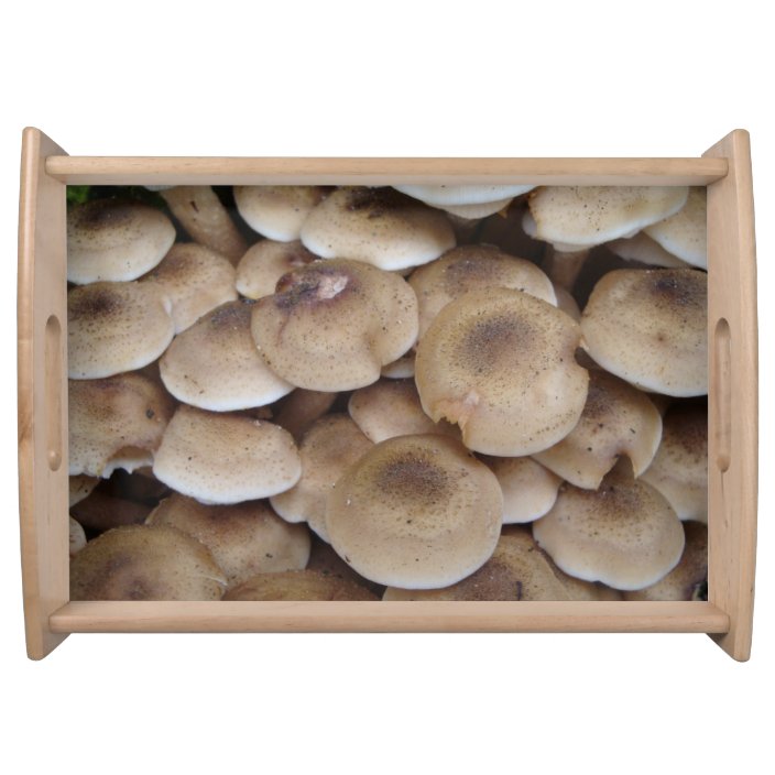 wild mushrooms growing in a cluster photo serving tray | Zazzle.com