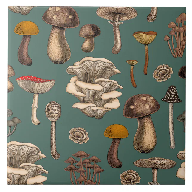 Wild Mushrooms on pine green Ceramic Tile | Zazzle
