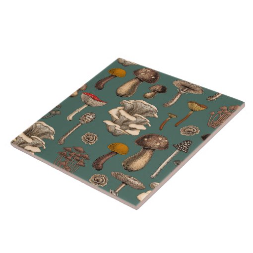 Wild Mushrooms on pine green Ceramic Tile | Zazzle