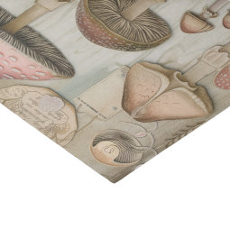 WILD MUSHROOMS POSTER DECOUPAGE TISSUE PAPER | Zazzle