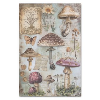WILD MUSHROOMS POSTER DECOUPAGE TISSUE PAPER | Zazzle