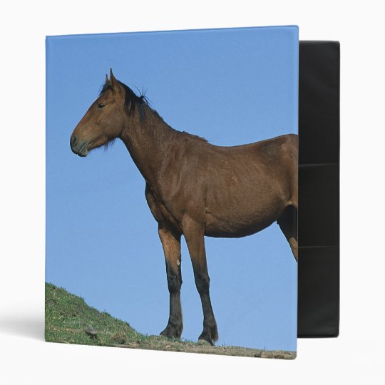 Wild Mustang Horse Binder | Zazzle.com