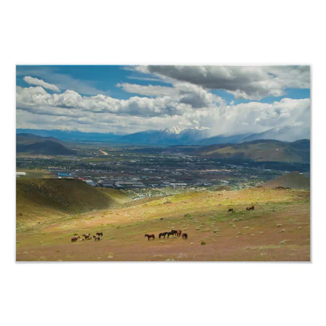 Wild Mustang Horses of Carson City, Nevada Photo | Zazzle