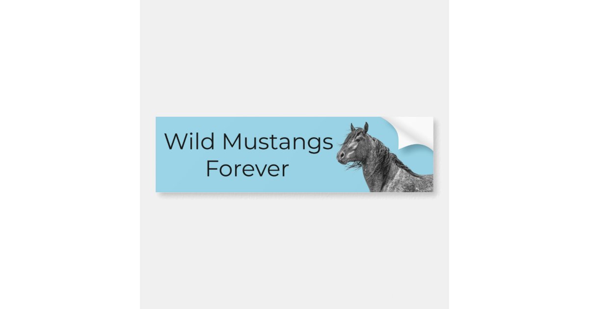 Wild Mustangs Forever Bumper Sticker | Zazzle