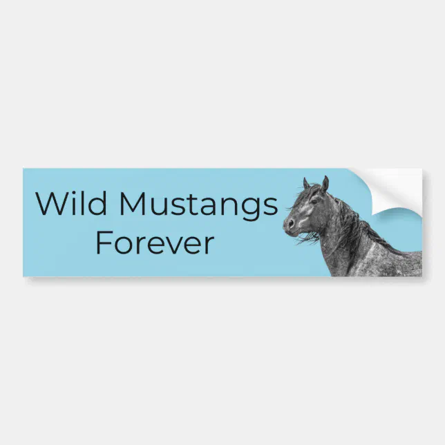 Wild Mustangs Forever Bumper Sticker | Zazzle