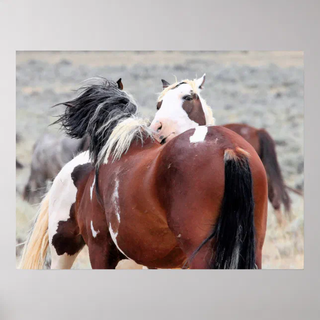 Wild Mustangs of the West Poster | Zazzle