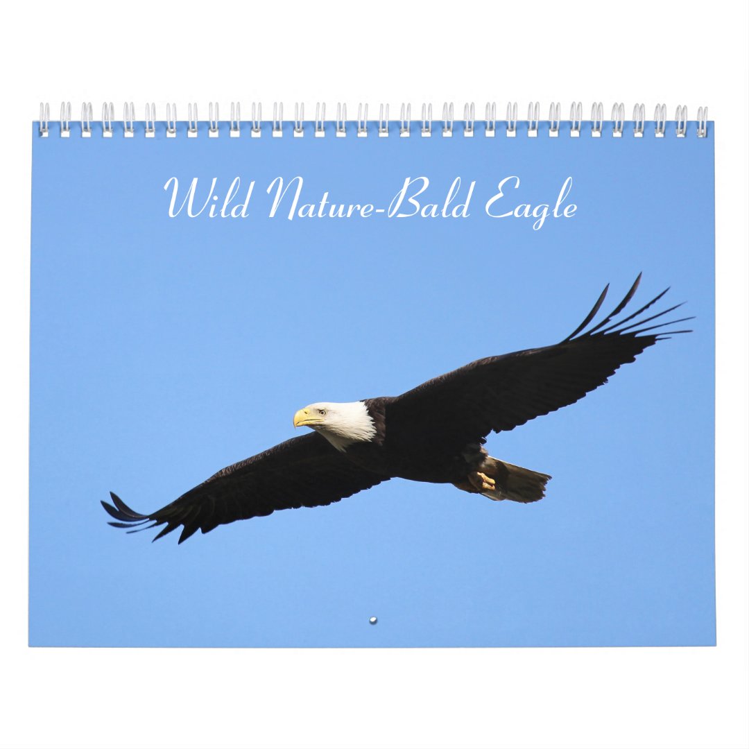 Wild Nature-Bald Eagle Calendar | Zazzle