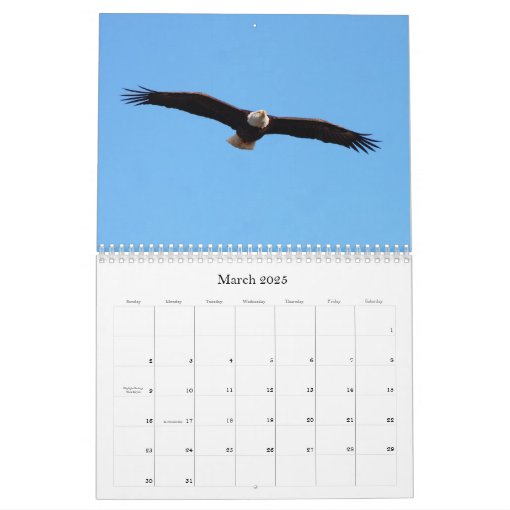 Wild Nature-Bald Eagle Calendar | Zazzle