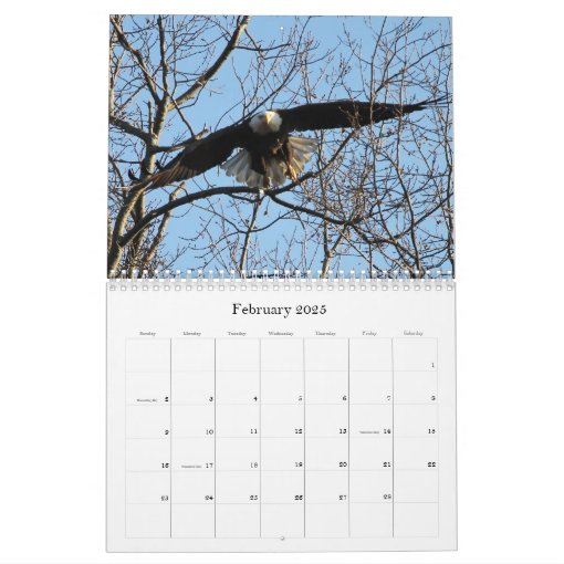 Wild Nature-Bald Eagle Calendar | Zazzle