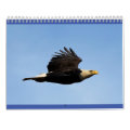 Wild Nature-Bald Eagle Calendar | Zazzle