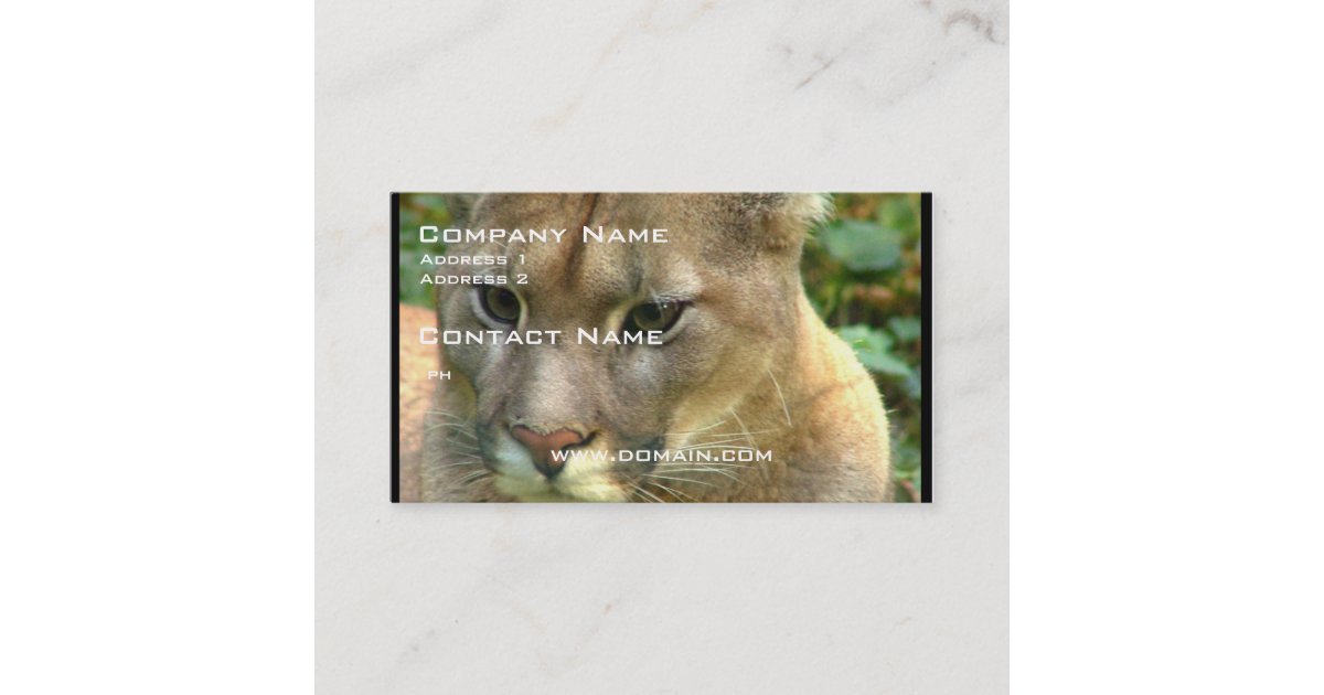 Wild Puma Business Card | Zazzle