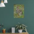 Wild Rabbit Eastern Cottontail Poster | Zazzle