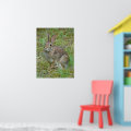 Wild Rabbit Eastern Cottontail Poster | Zazzle