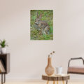 Wild Rabbit Eastern Cottontail Poster | Zazzle